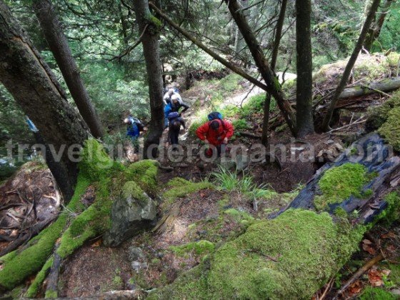 Adventure in Apuseni mountains - Bohodei waterfall circuit