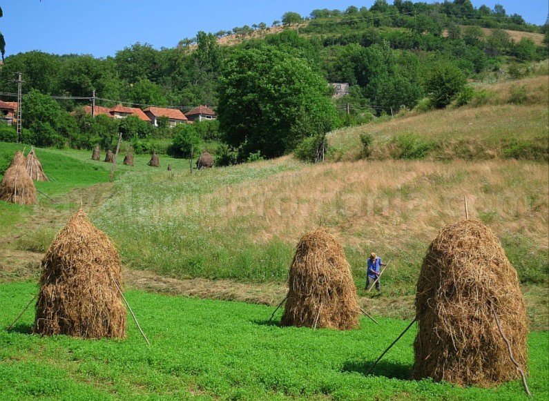The Vaşcău Karst Plateau– The Apuseni Mountains Camp (2) - Travel Guide ...