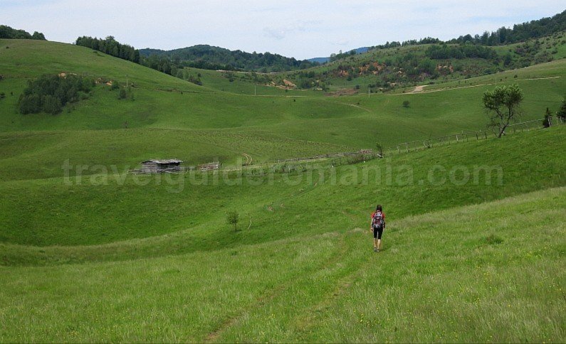 The Vaşcău Karst Plateau– The Apuseni Mountains dolina - Travel Guide ...