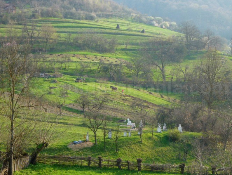 The Vascau Karst Plateau – The Apuseni Mountains - Travel Guide Romania
