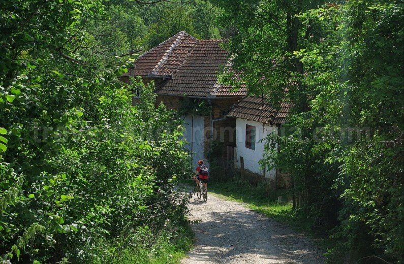 The Vascau Karst Plateau – The Apuseni Mountains Colesti - Travel Guide ...