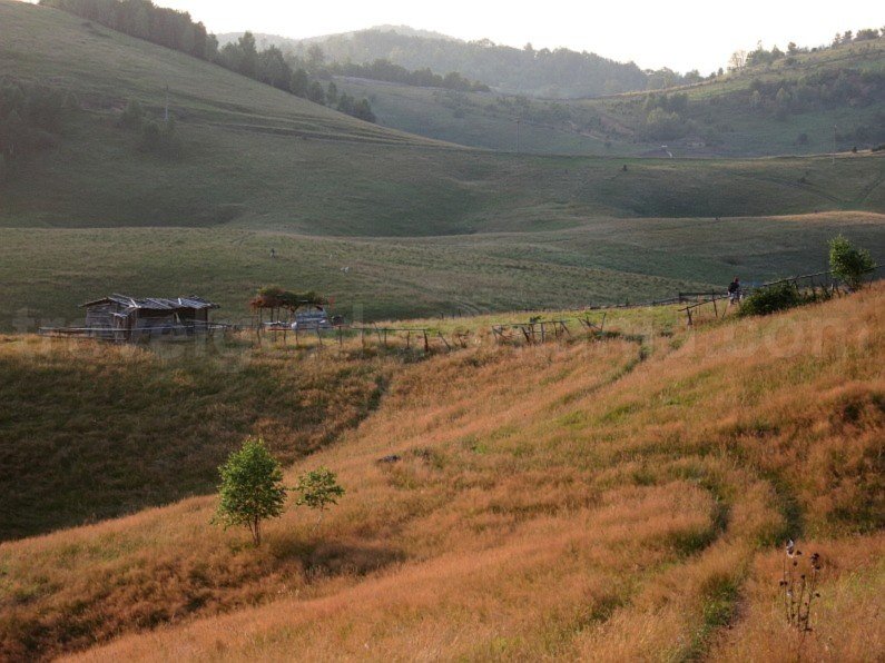 The Vascau Karst Plateau – The Apuseni Mountains aranda - Travel Guide ...