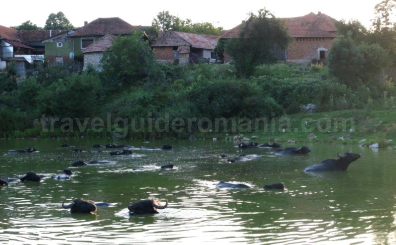 The Vascau Karst Plateau – The Apuseni Mountains colesti lake - Travel ...