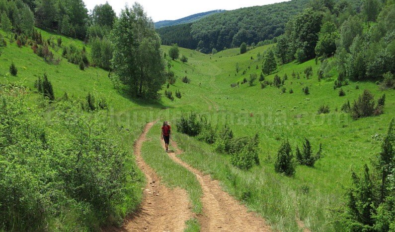 The Vascau Karst Plateau – The Apuseni Mountains doline - Travel Guide ...