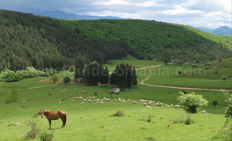 The Vascau Karst Plateau – The Apuseni Mountains izbuc - Travel Guide ...
