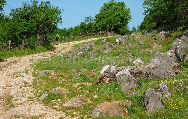 The Vascau Karst Plateau – The Apuseni Mountains lapiezuri - Travel ...