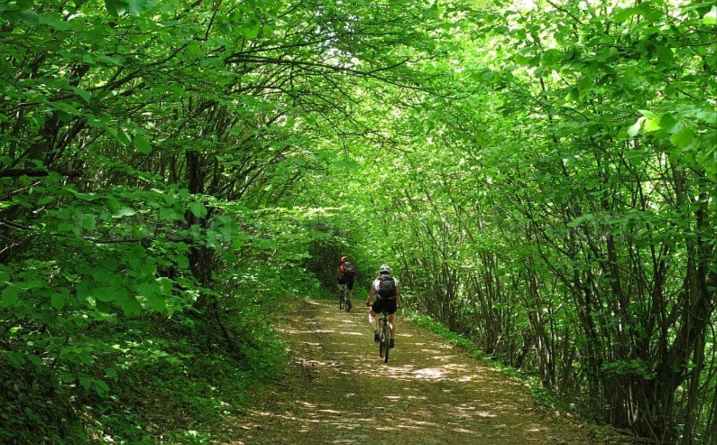The Vascau Karst Plateau – The Apuseni Mountains mtb - Travel Guide Romania