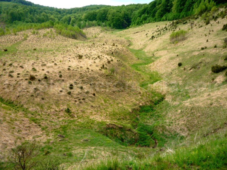 The Vascau Karst Plateau – The Apuseni Mountains ponor - Travel Guide ...