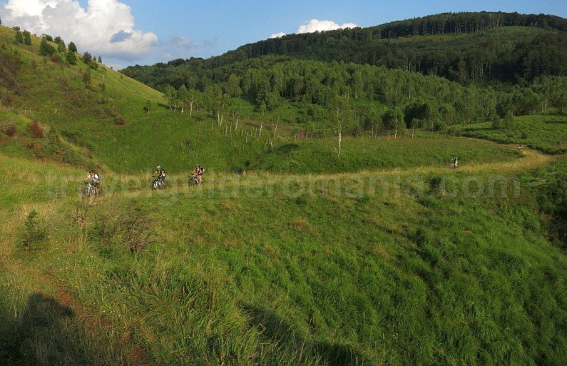 The Vascau Karst Plateau – The Apuseni Mountains recea - Travel Guide ...
