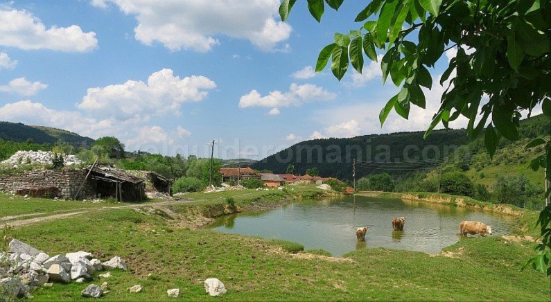 The Vascau Karst Plateau – The Apuseni Mountains varnita - Travel Guide ...